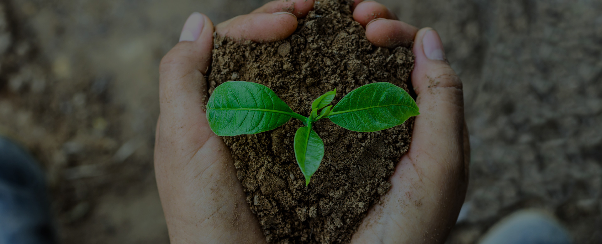 Home - Living for Environment